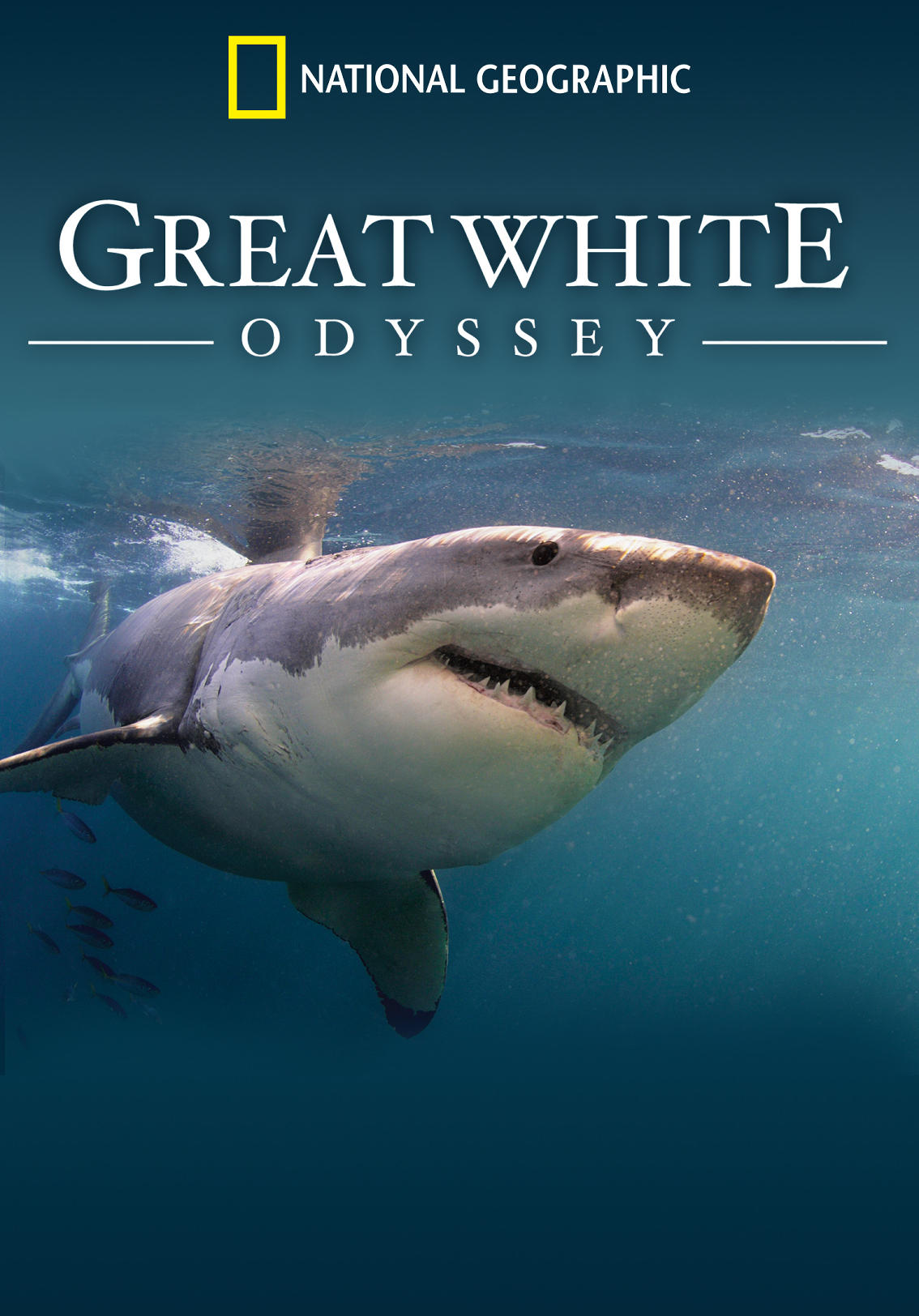 National Geographic: Great White Odyssey (2009) | Kaleidescape Movie Store